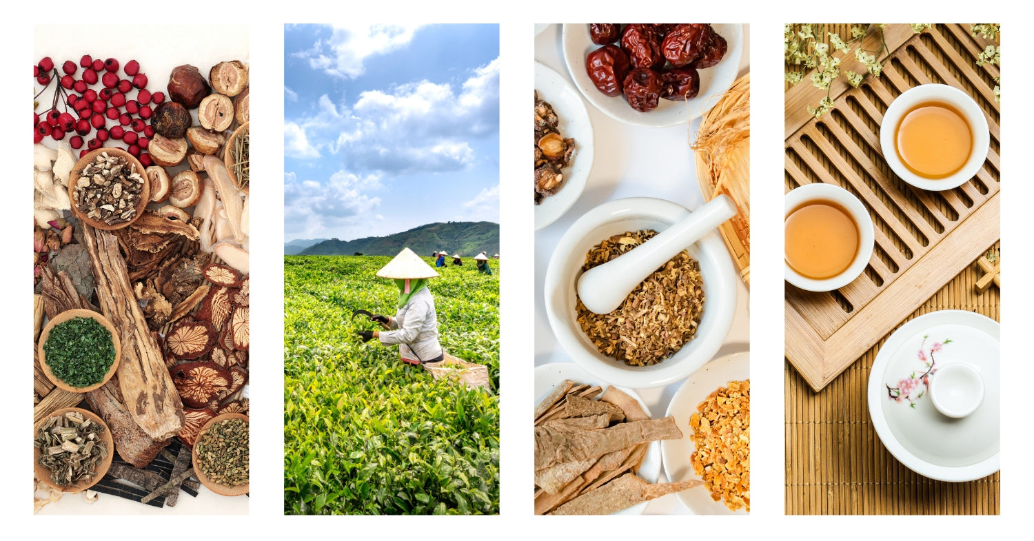 LITIAO traditionell chinesische Kräutertees